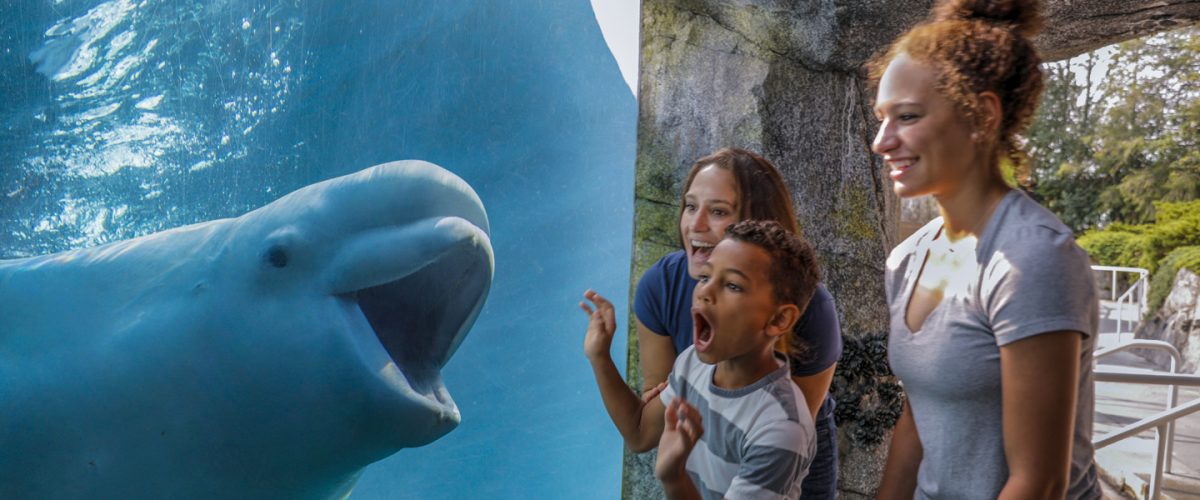 Sea Mystic Sea Big Savings | Mystic Aquarium | Mystic Seaport | Olde ...